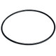 Pentair 151121 O-ring for Slimline Filter Housings - KlearWaterStore.com