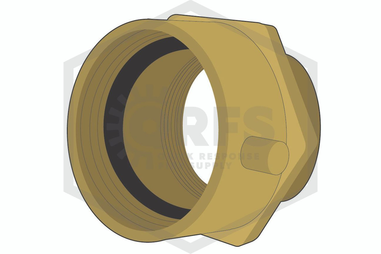 3 in. FNPT x NYFD Snoot and Swivel | Polished Brass