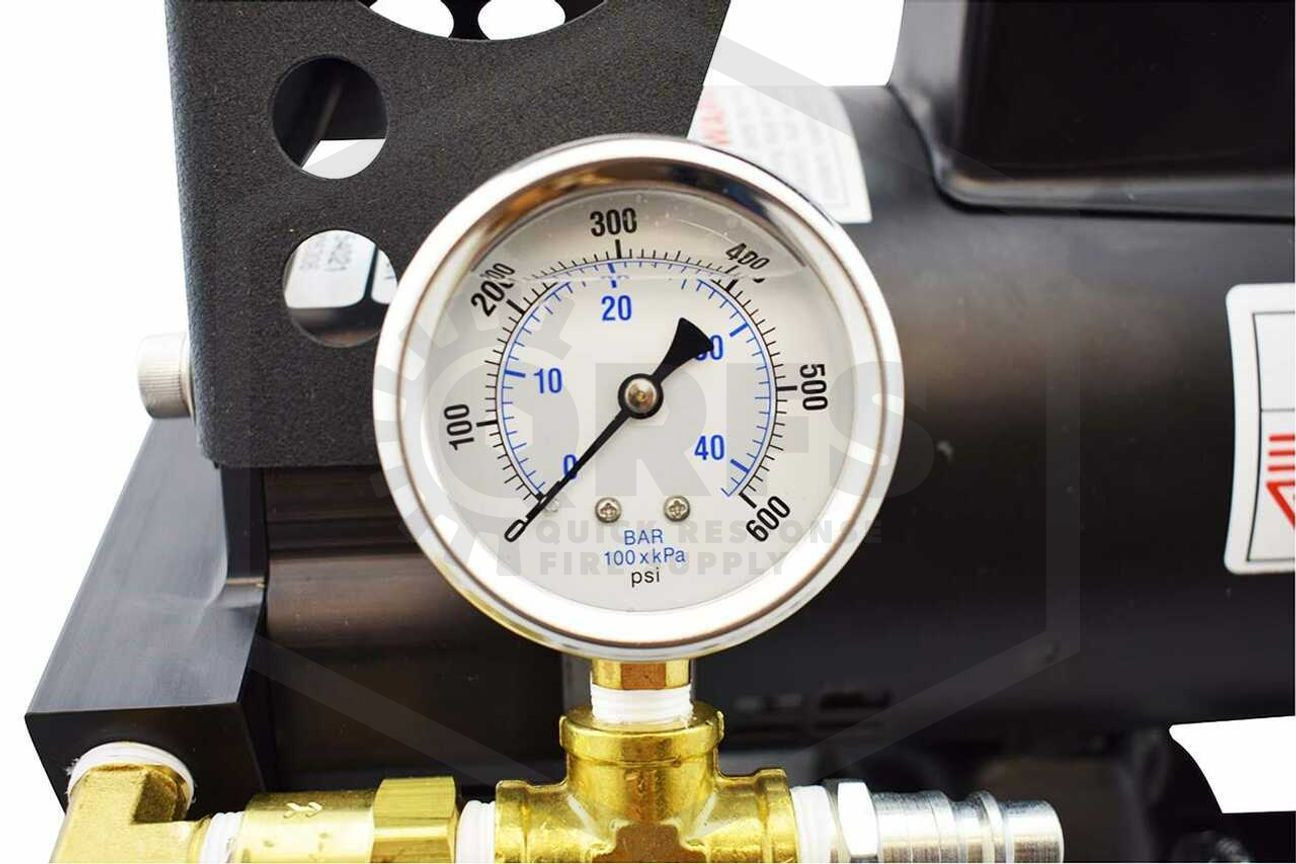 Viking Clapper Assembly Model F1 and F2 Dry Valves 3 in. and 4 in. 08324