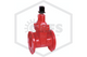 Flanged NRS Gate Valve | 8 in. Pipe Size | 2 in. Operating Nut ...