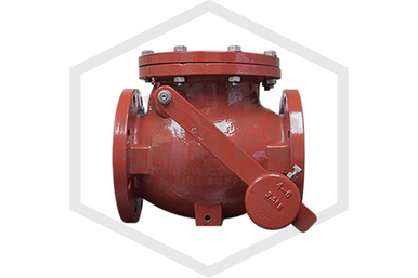 Lever and Weight Check Valve | Flanged x Flanged | 6 in. | Lansdale ...