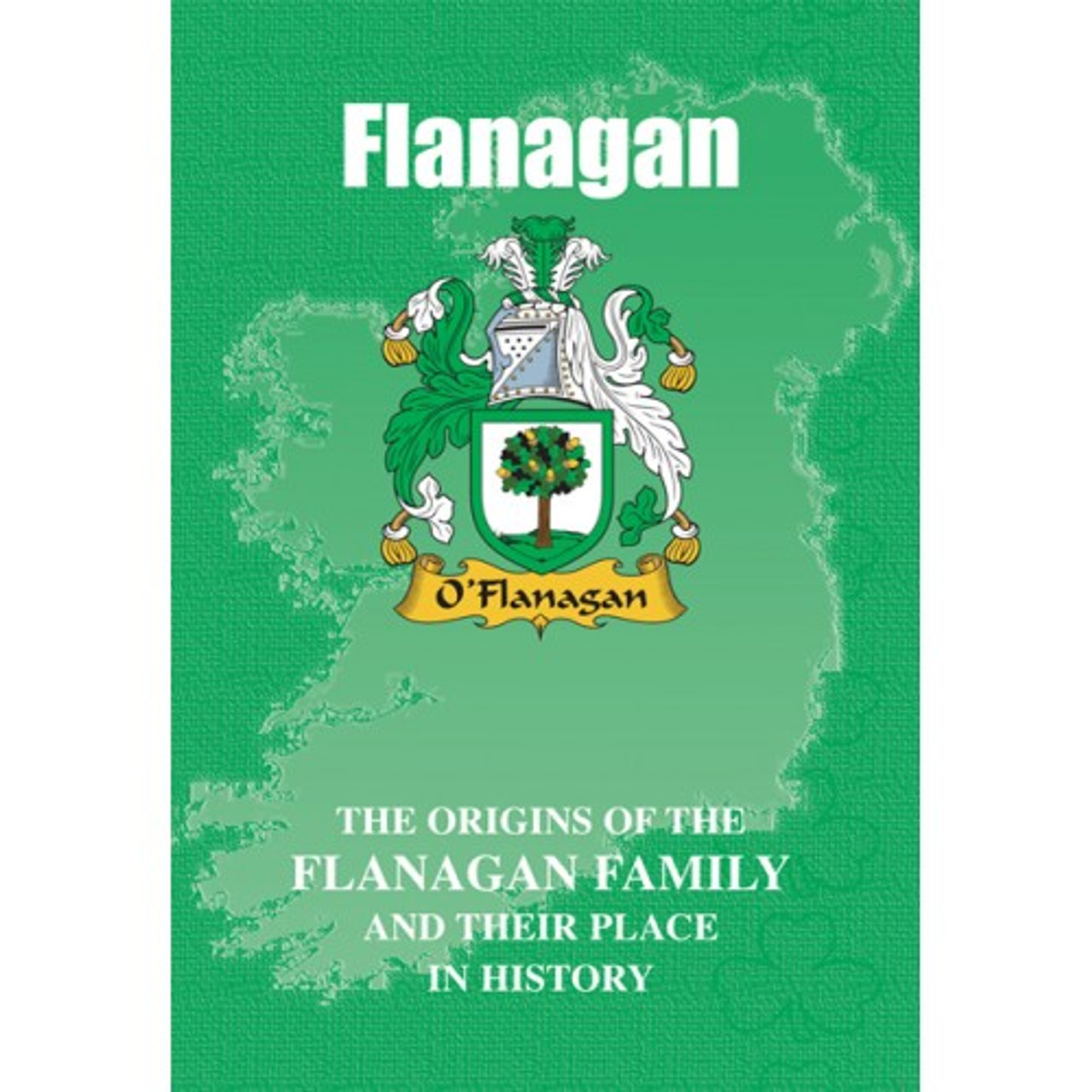 Irish Family History Book - Flanagan