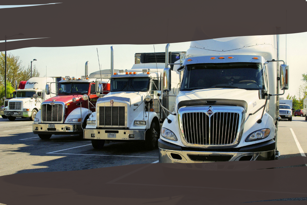 What is Diesel Bug and How Do I Prevent It? - Petroleum Service Company