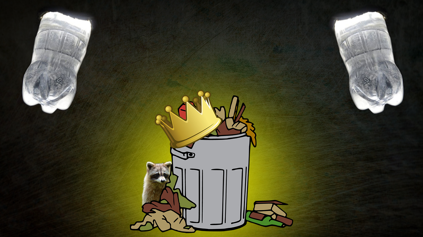 Trash vs. Treasure: Creatively Reusing Plastic Bottles - Petroleum ...