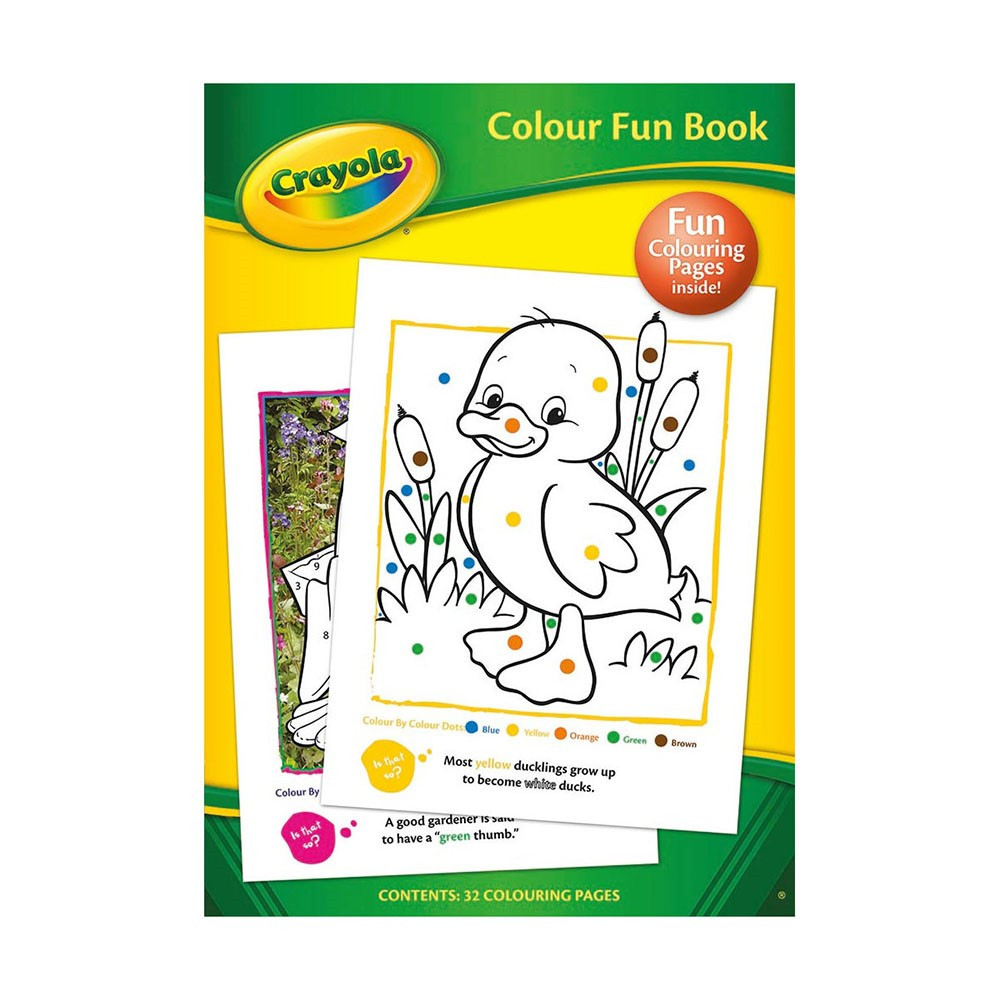 Crayola Colour Fun Book | Craft & Hobby Supplies | Country Baskets