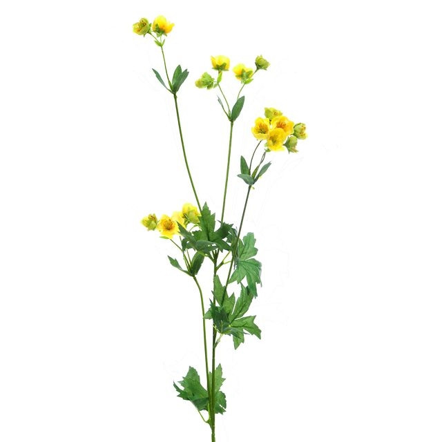 Artificial Buttercup Spray Yellow 79 cm - Country Baskets