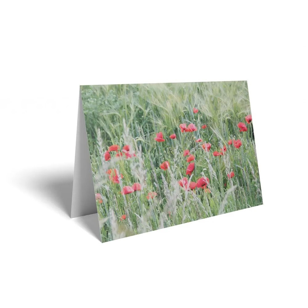 Folded Card Red Poppy Field | Floristry Supplies | Country Baskets