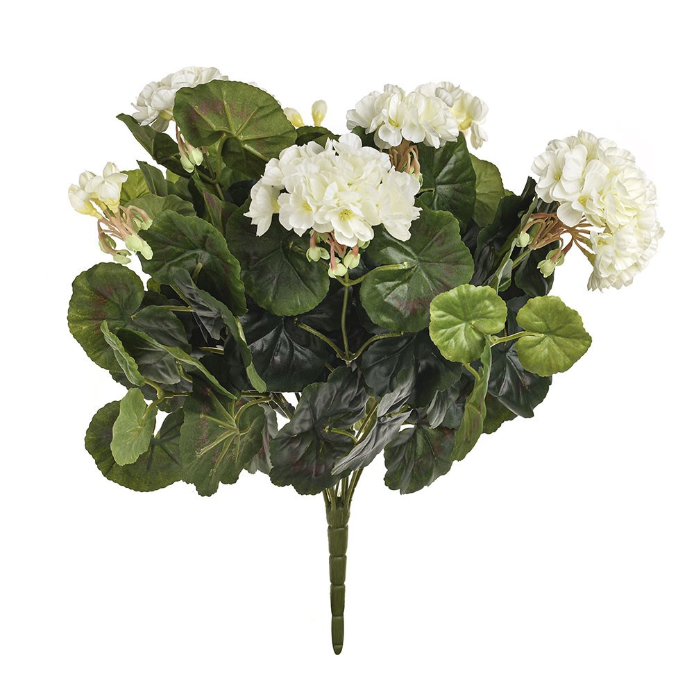 Geranium Bush Cream - Country Baskets