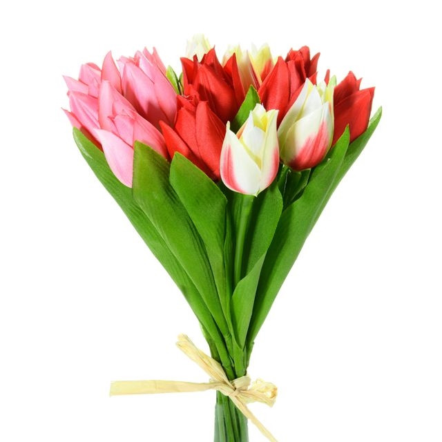 Tulip Bundle X 15 Red/Cream - Country Baskets
