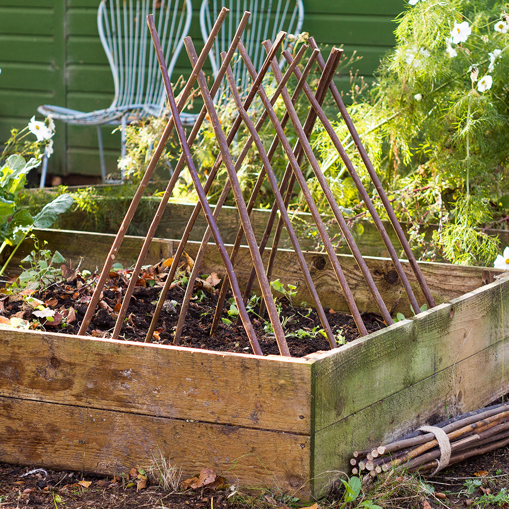 Willow Flower Stakes | Plant Supports | Sarah Raven