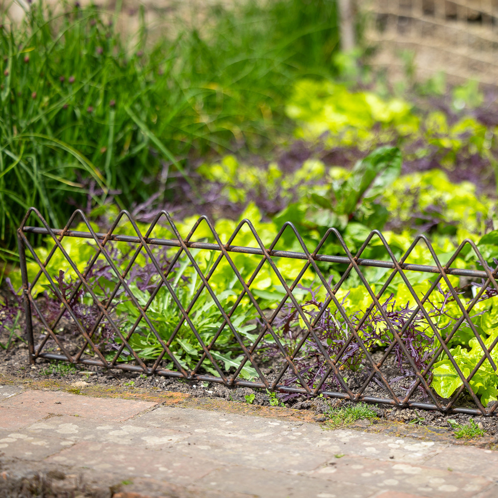Buy Latticed Metal Edging | Mild Steel Edging | Sarah Raven