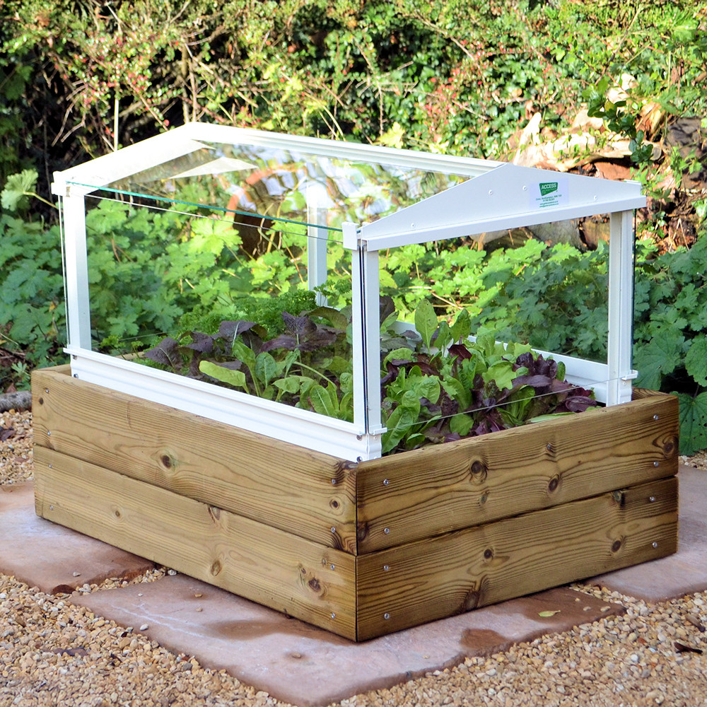 Herb & Salad Cloche Planter | Aluminium Cloche | Sarah Raven