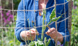 Sweet Pea Growing Kit, Pots & Supports | Sarah Raven