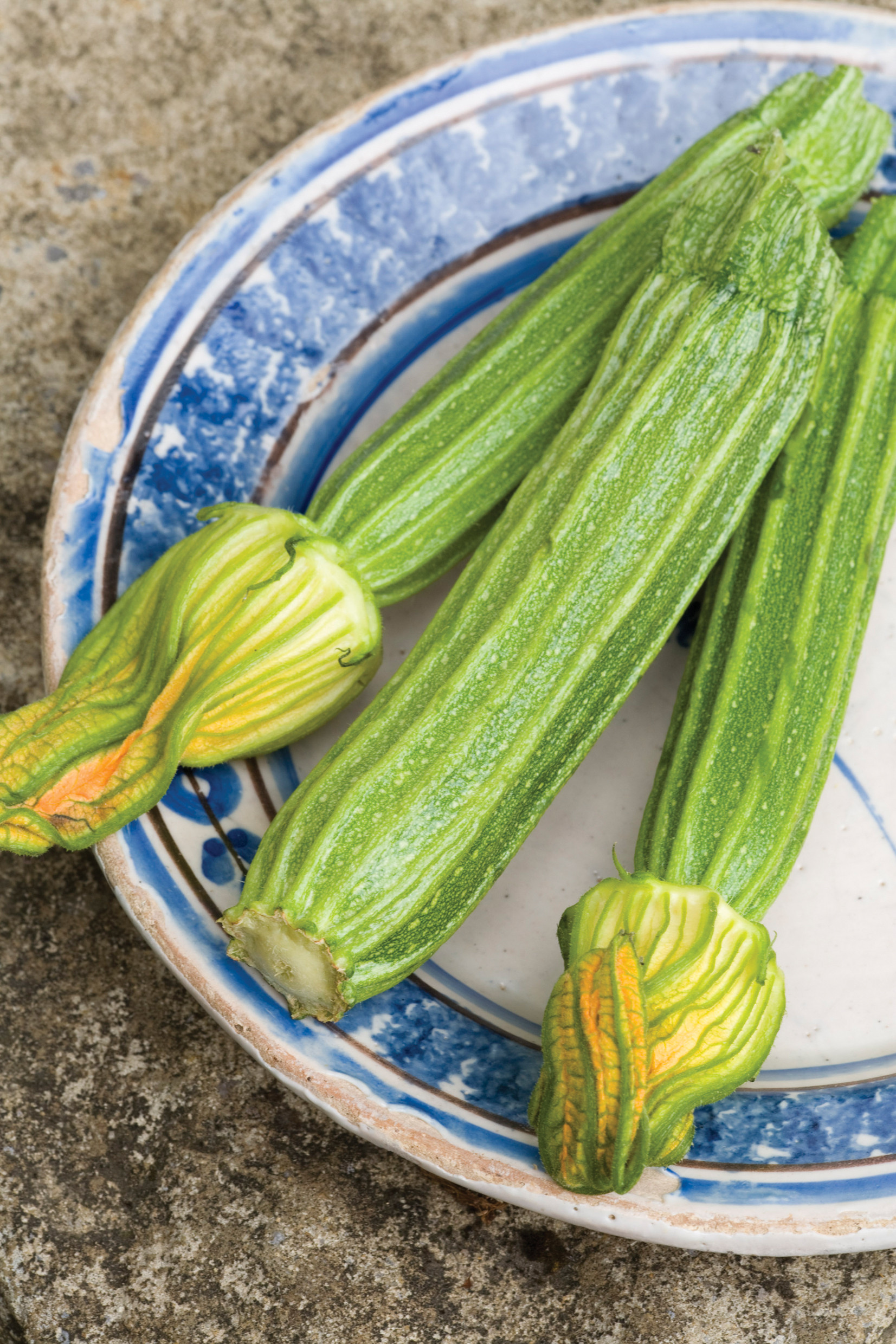 Buy Courgette 'Romanesco' | Summer Squash | Sarah Raven