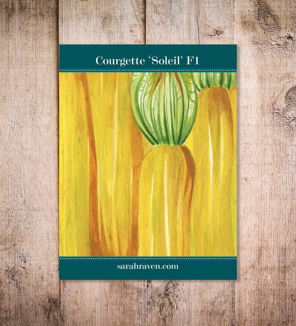 Buy Courgette 'Soleil' F1 | Summer Squash | Sarah Raven