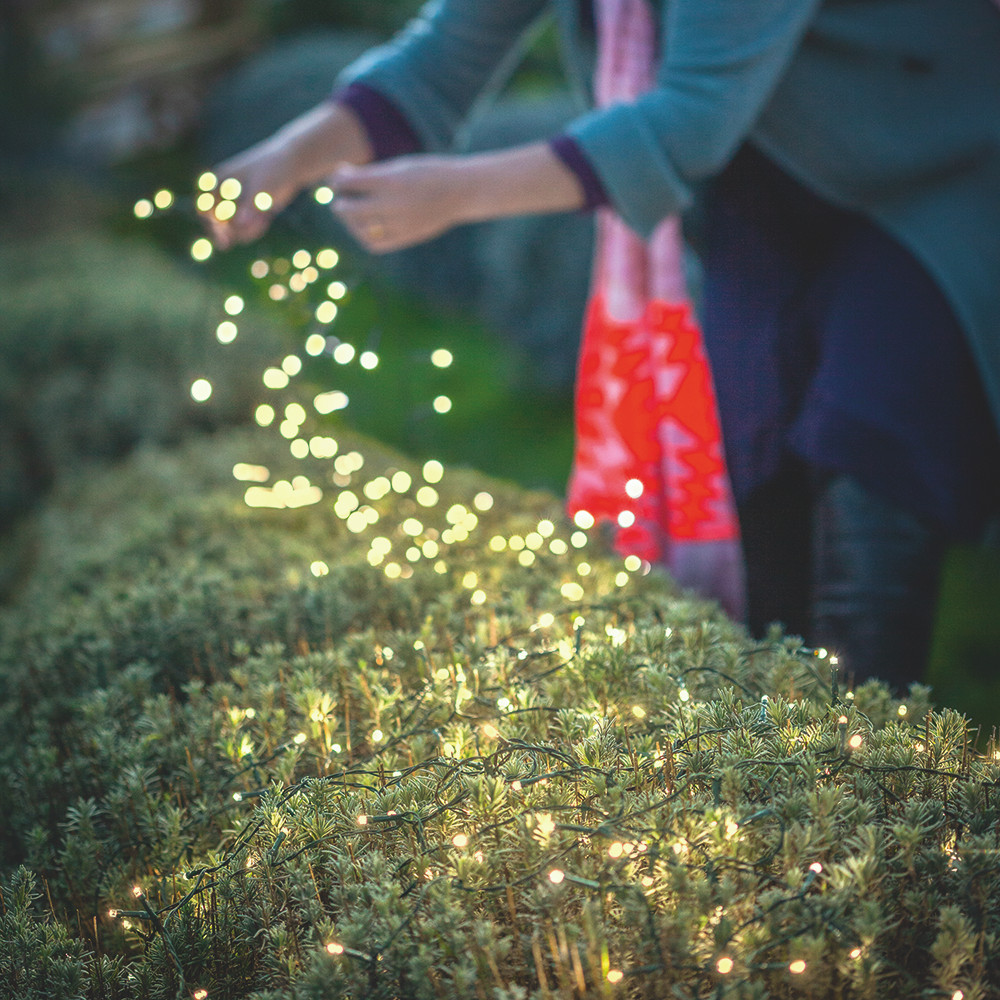 Solar String Lights | Warm White Solar Fairy Lights | Sarah Raven