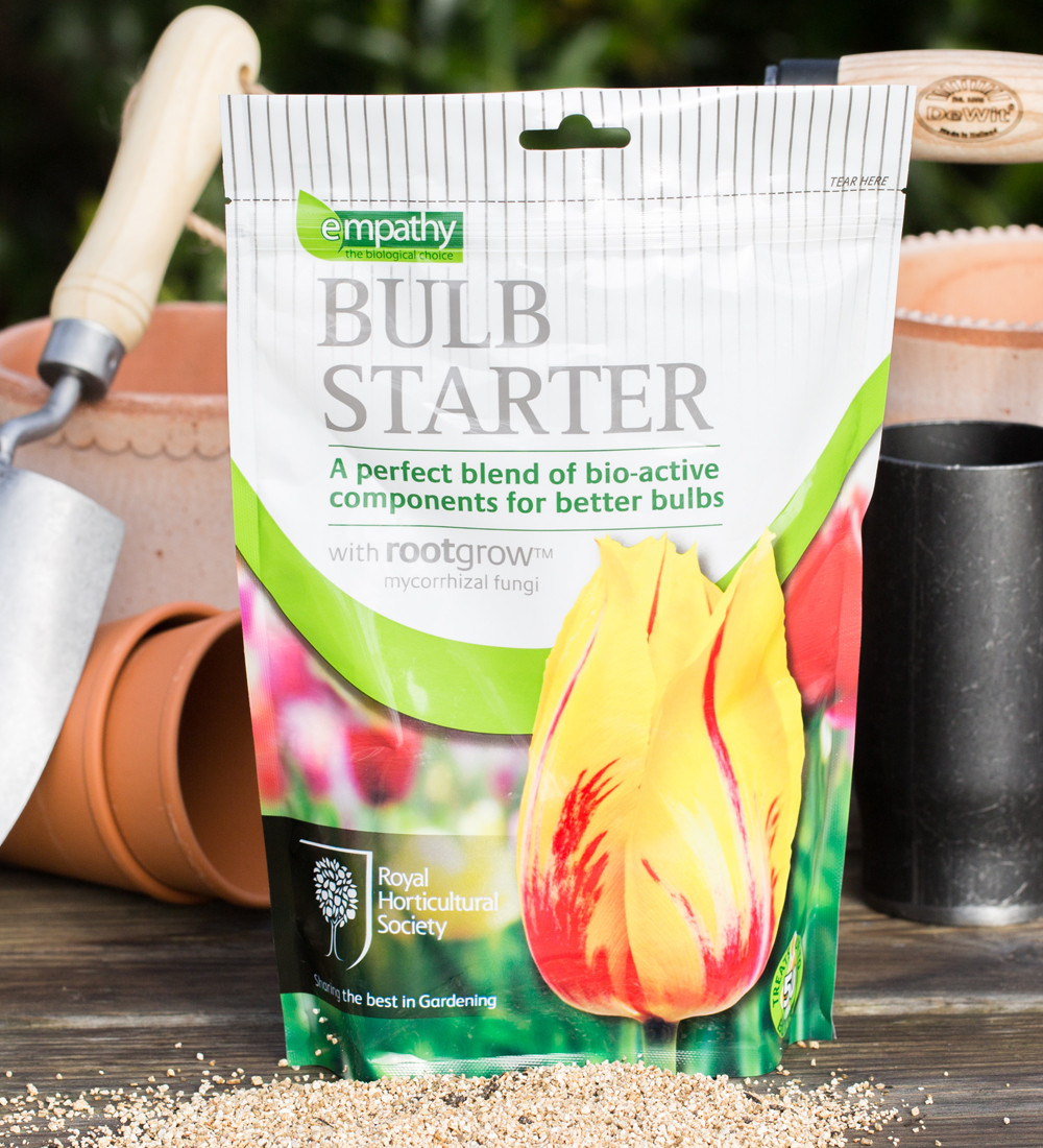 Bulb Starter | Sarah Raven