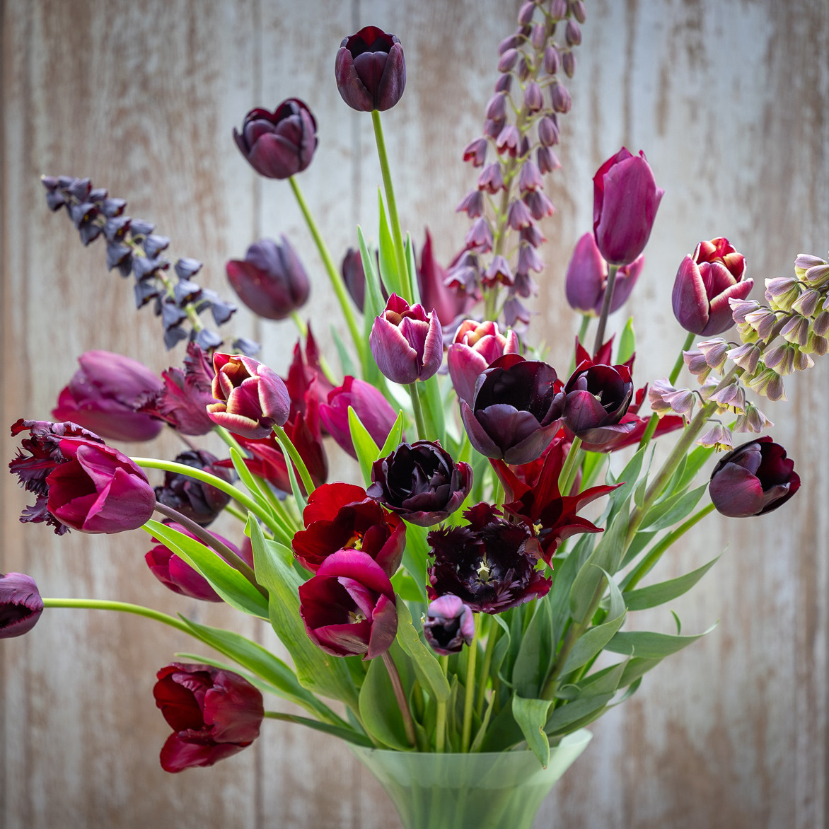 Spring Open Days | Sarah Raven