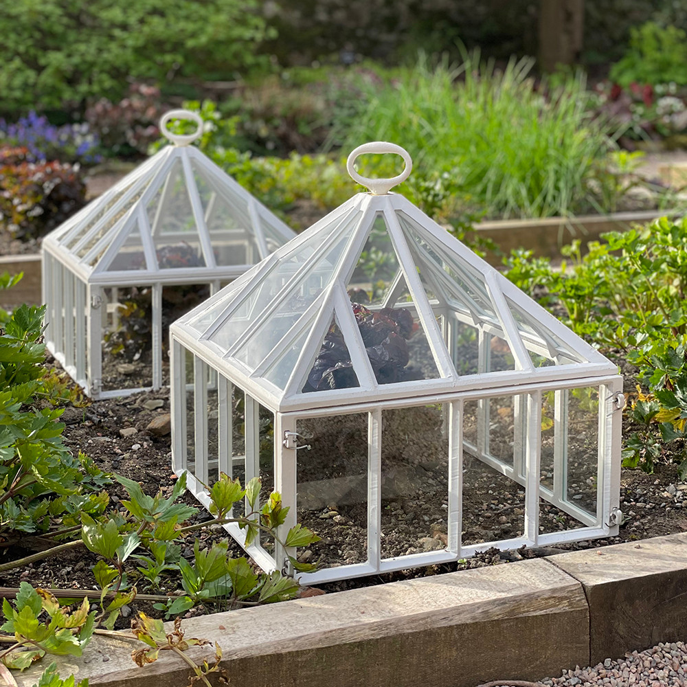 Buy Claverton Square Cloche | Cast Iron & Glass Cloche | Sarah Raven