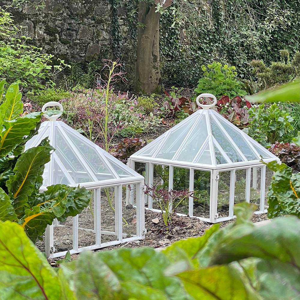Buy Claverton Square Cloche | Cast Iron & Glass Cloche | Sarah Raven