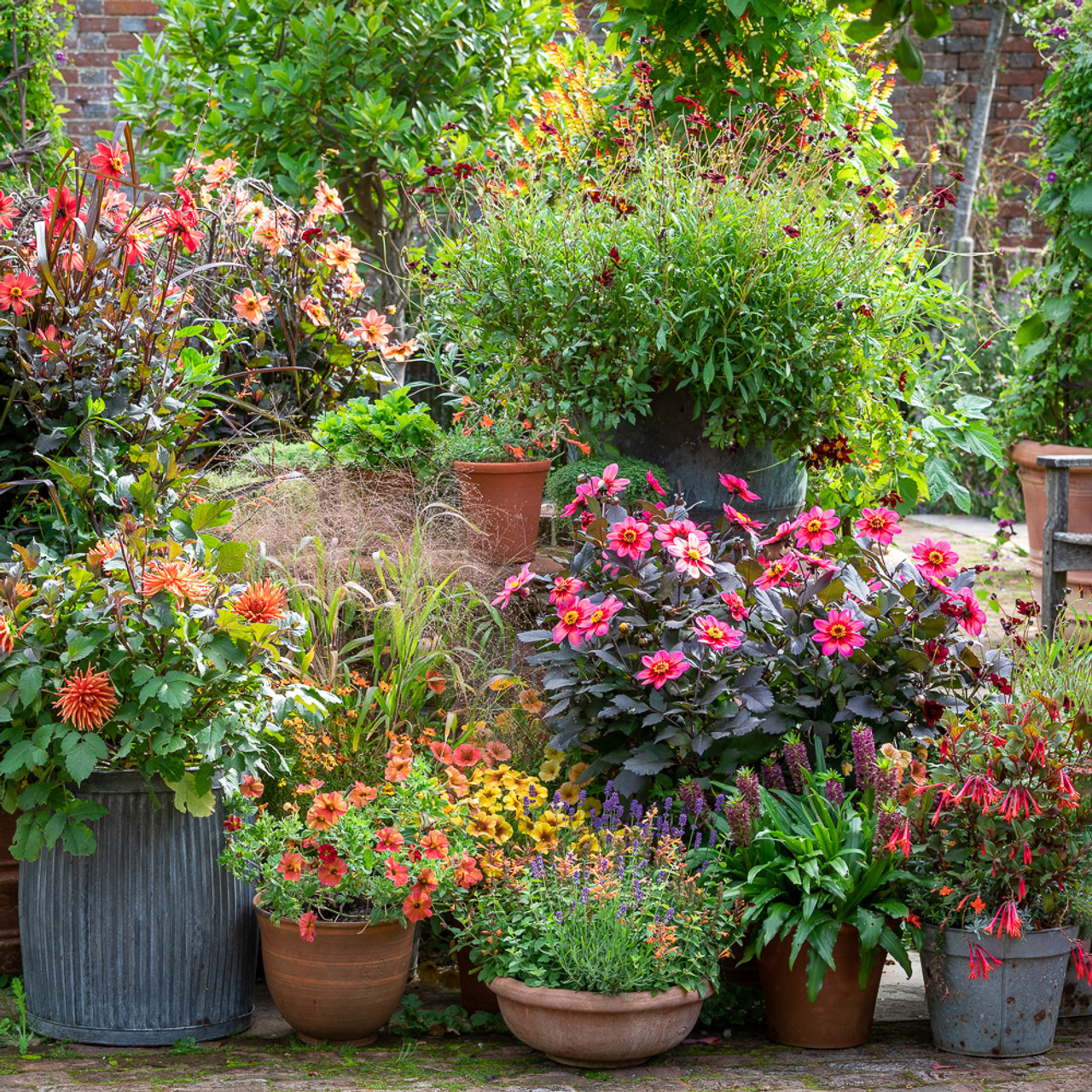 A Year Full of Pots with Sarah Raven at Thyme, Gloucestershire ...