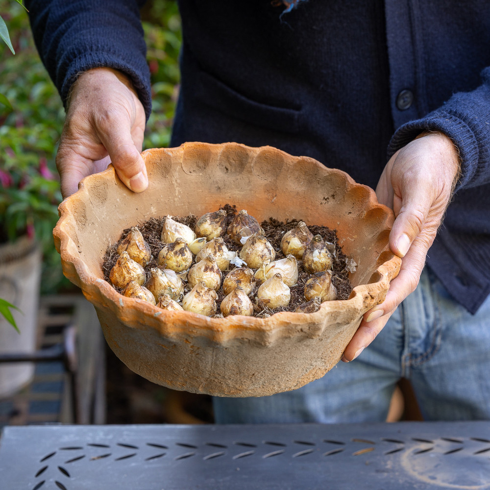 Pie Crust Terracotta Bowls | Clay Plant Pots | Sarah Raven