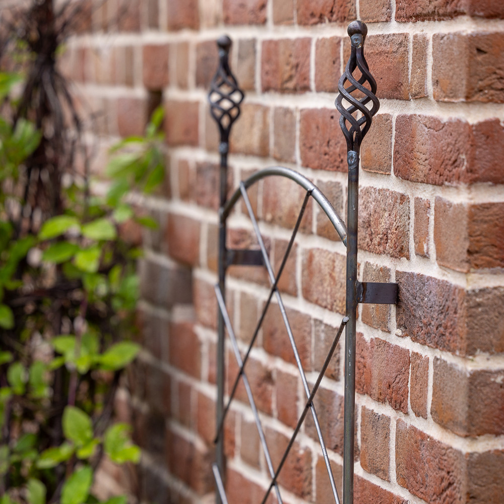 Decorative Wall Trellis | Steel Frame Garden Trellis | Sarah Raven