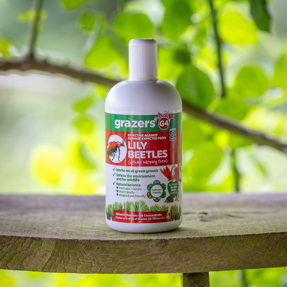 Grazers Lily Beetle Repellent | Pest Protection | Sarah Raven