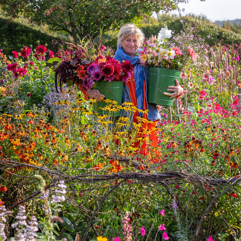 The Kaleidoscope Garden with Sarah Raven at Perch Hill Farm, East ...