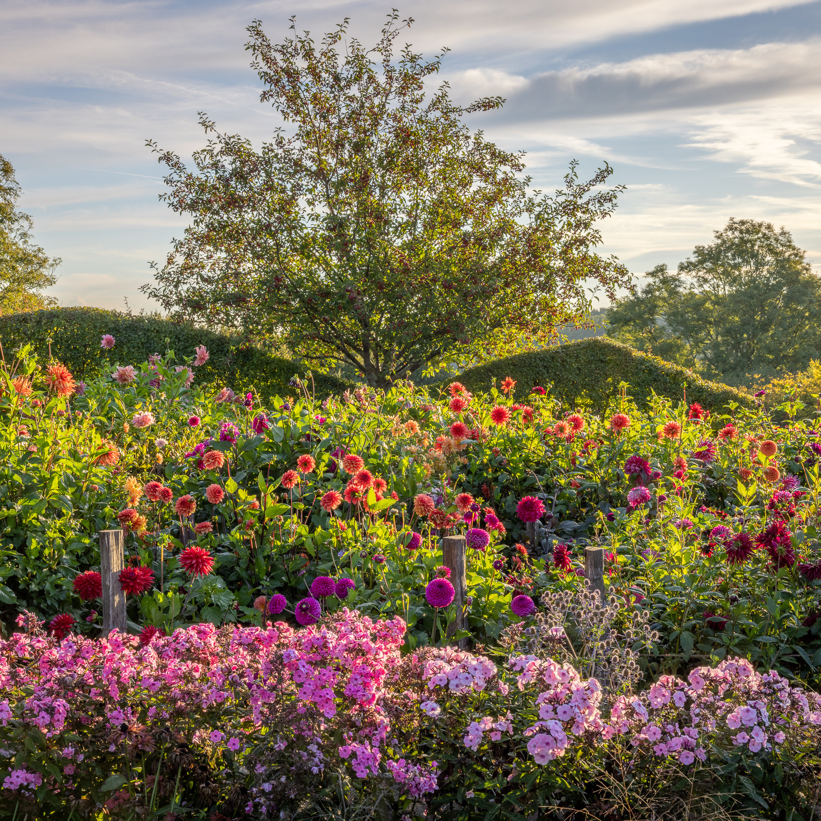 A Year Round Colour Garden with Sarah Raven at Perch Hill Farm ...