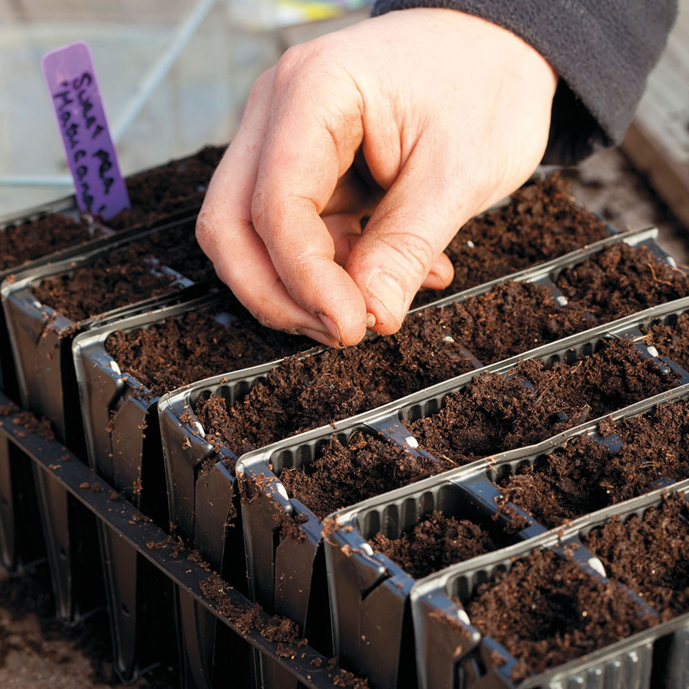Buy Rootrainers | Gardening Kit | Sarah Raven