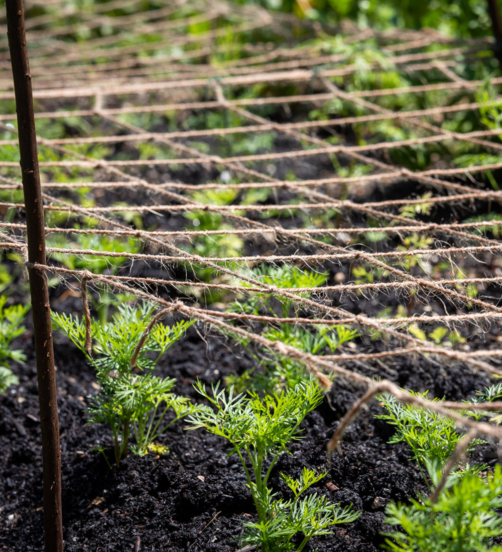 Natural Jute Netting | Sarah Raven