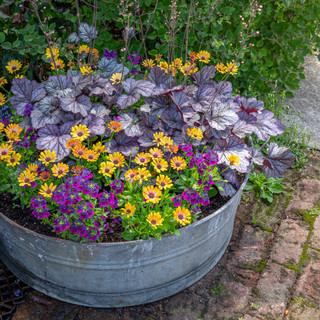 Buy Huge Centrepiece Tub | Garden Pot | Sarah Raven