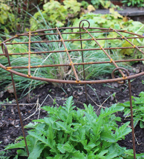 Round Grow Frame | Plant Frames & Supports | Sarah Raven