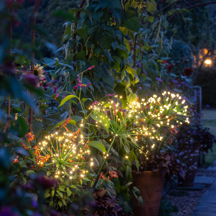 Garden Meadow Solar Lantern Lights