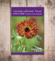 Buy Calendula officinalis 'Touch of Red Buff' | Pot Marigold | Sarah Raven