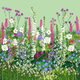 Buy The English Country Garden Border Collection | Country Garden ...