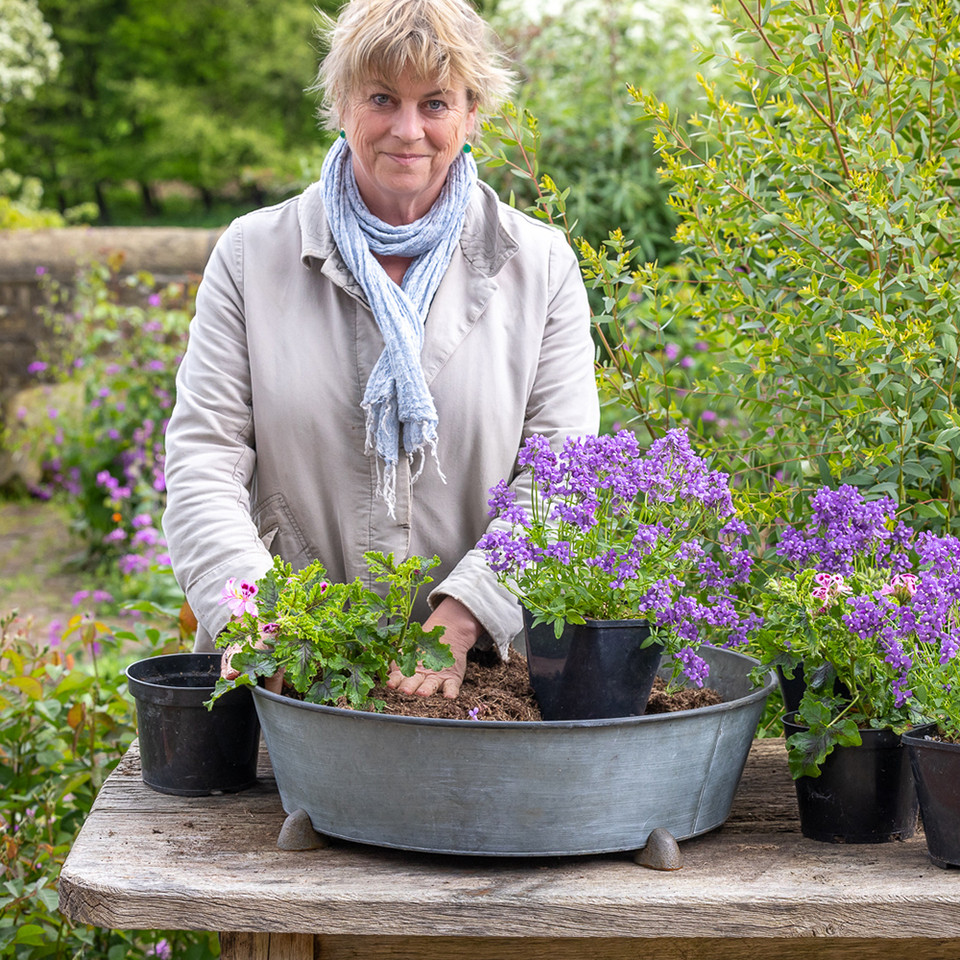 Zinc Shallow Bowl | Large Zinc Planter | Sarah Raven