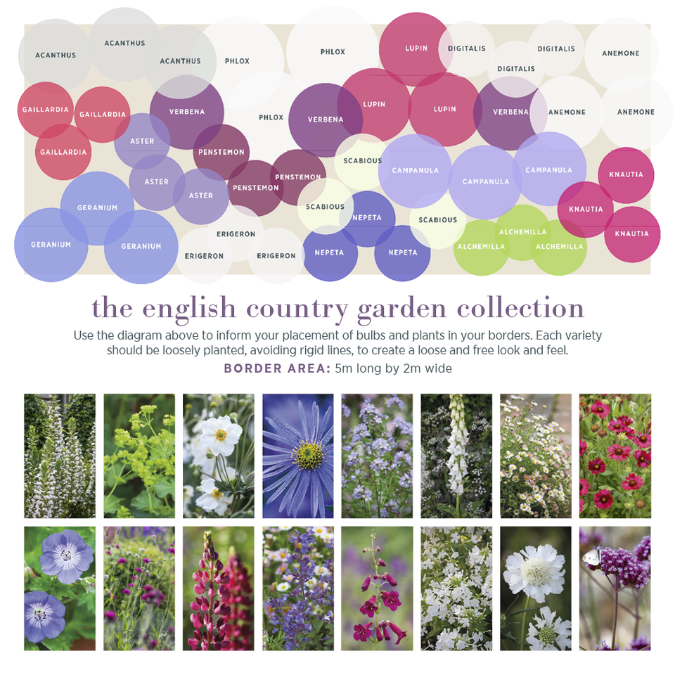 Buy The English Country Garden Border Collection | Country Garden ...