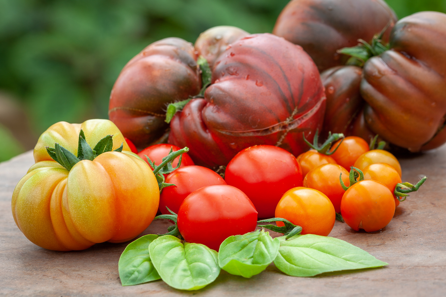 All-day gazpacho - Sarah Raven