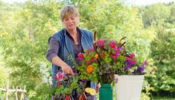 sarah's favourite hardy annuals - Sarah Raven