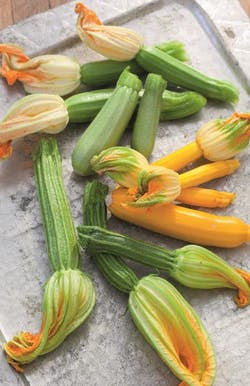 Courgette Risotto with Tarragon Recipe | Sarah Raven