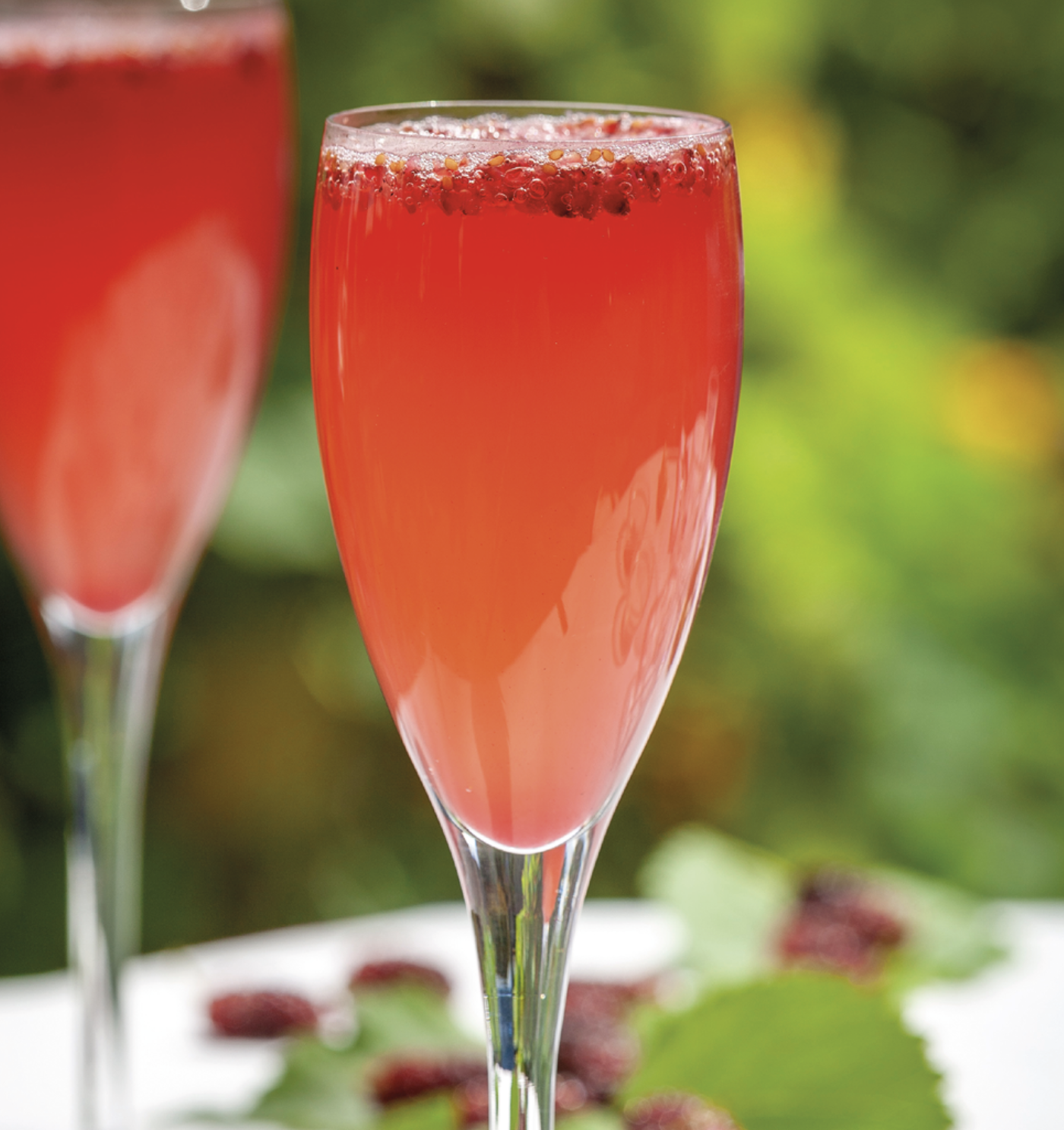 Rhubarb and Star Anise Bellini Mocktail/ Rhubarb & Star Anise Spritzer ...