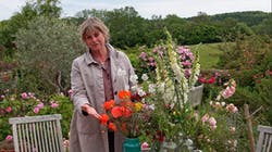 gardening at home with sarah | favourite biennials for june - Sarah Raven