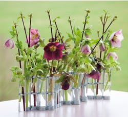 spring flower arrangements - Sarah Raven
