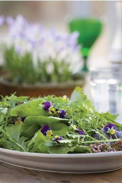 winter salads from the garden - Sarah Raven