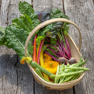 Lightweight Harvest Trug | Garden Trugs | Sarah Raven