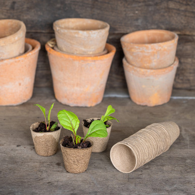 Round Grow Pots | Biodegradable Pots | Sarah Raven