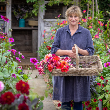 August and September Open Days | Sarah Raven