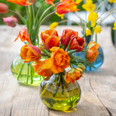 Buy Wobbly Vases | Flower Vases | Sarah Raven